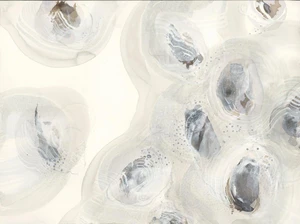 Area Environments - Loop Architectural Materials